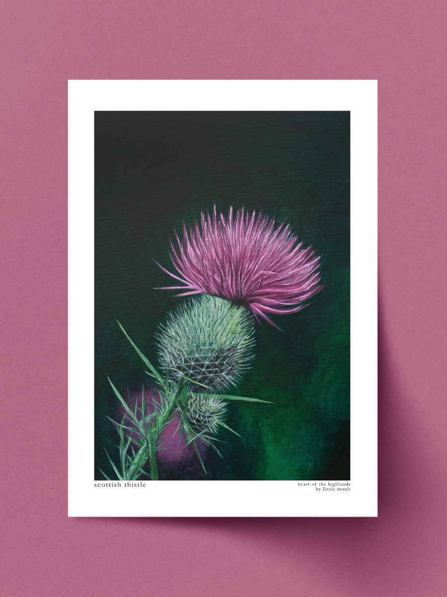"Scottish Thistle" Heart of the Highland Series, Fine Art Print ...